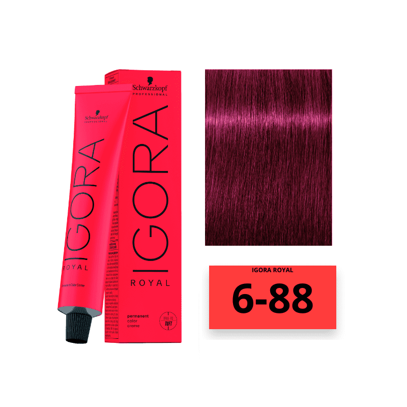Igora Royal 6 88